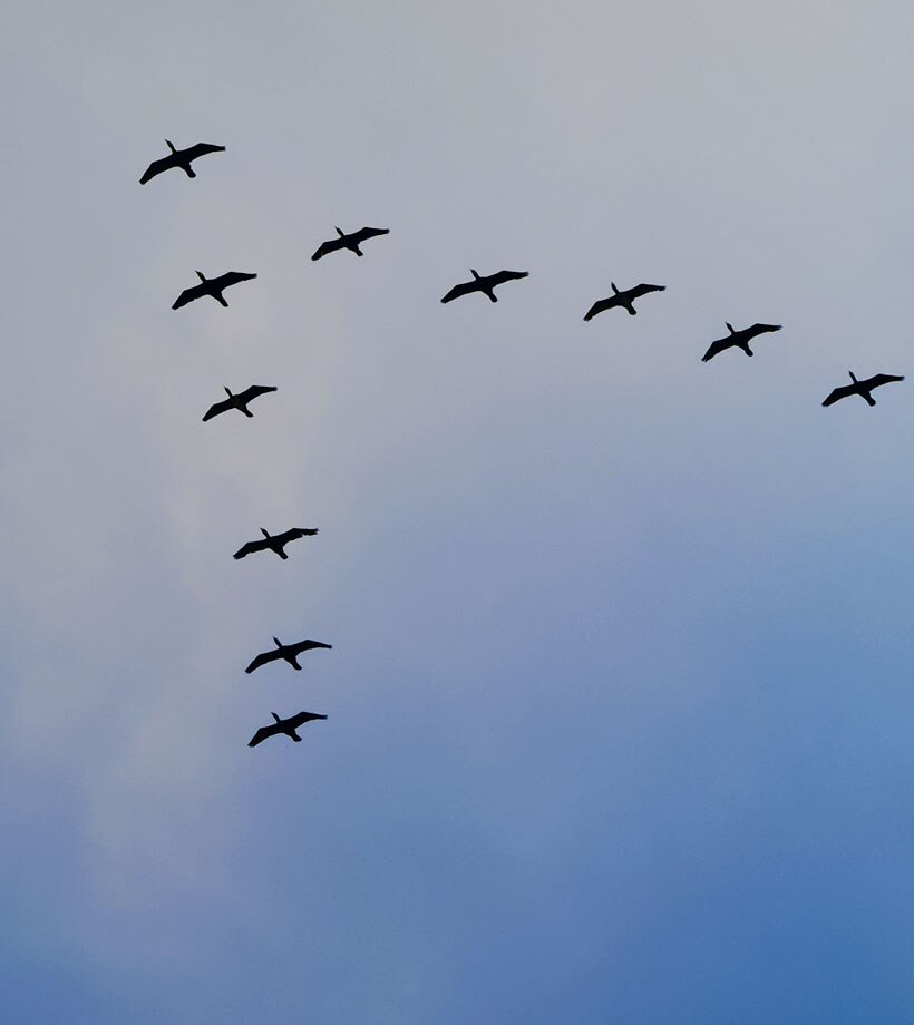 Cloud Services | NTT